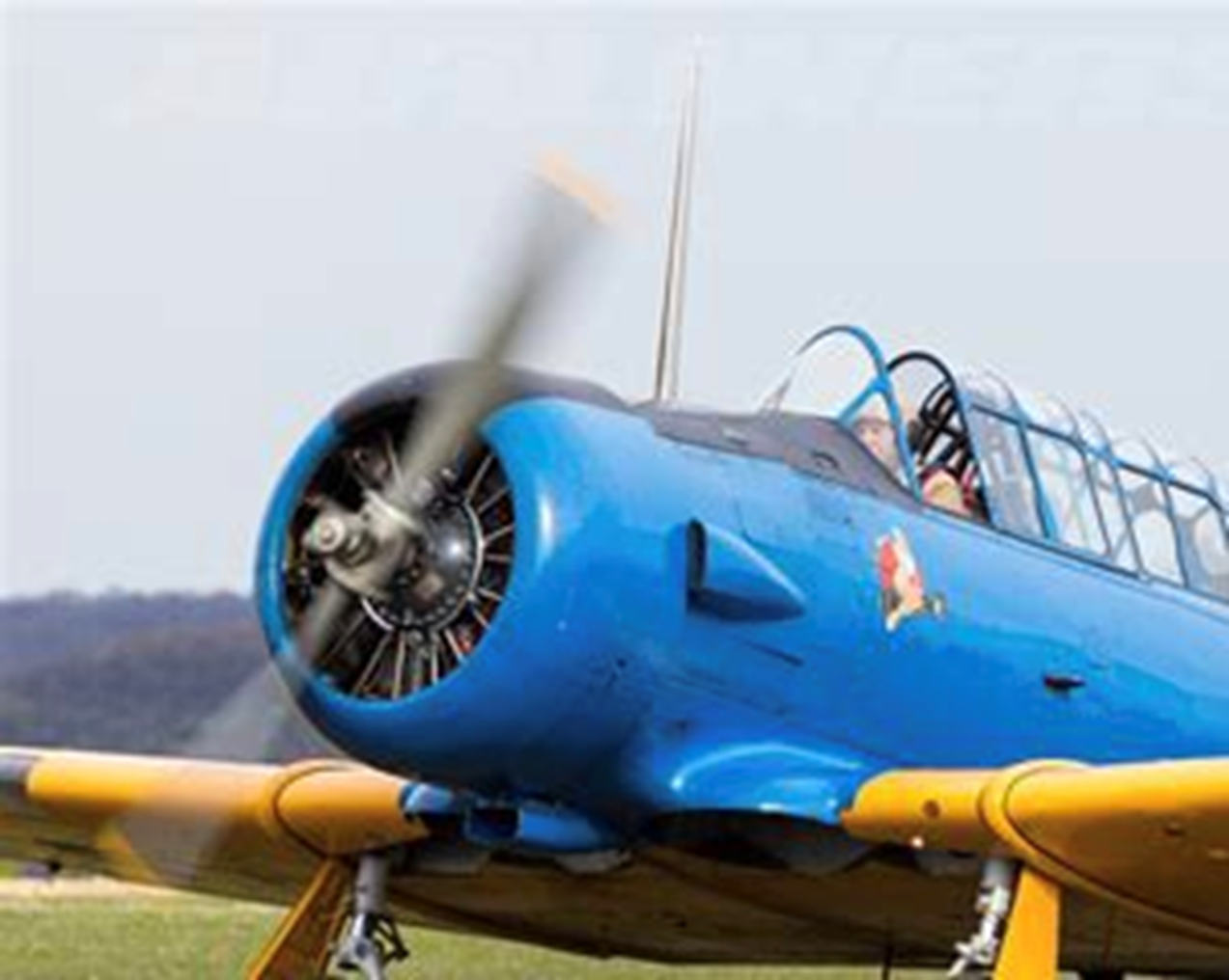 sg8 – Noticias de Aviación Transponder 1200